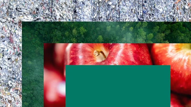 Amplifying Impact: Apollo’s 2023 Annual Impact ReportApollo Global ...