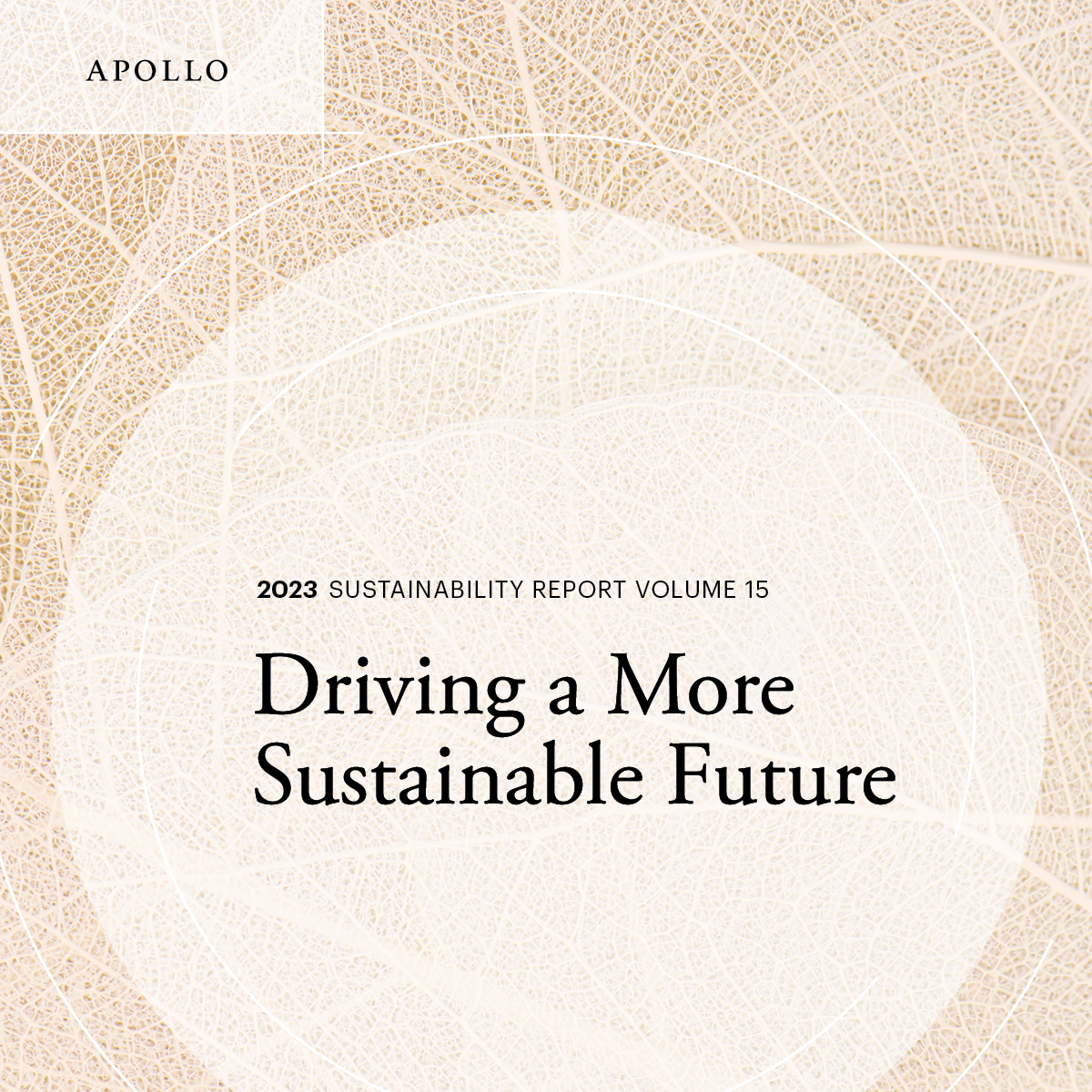 Transparency & Reporting | Apollo Global Management