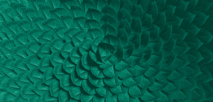 Capturing Risk Premia: A Practitioner’s Perspective with Apollo Partner ...